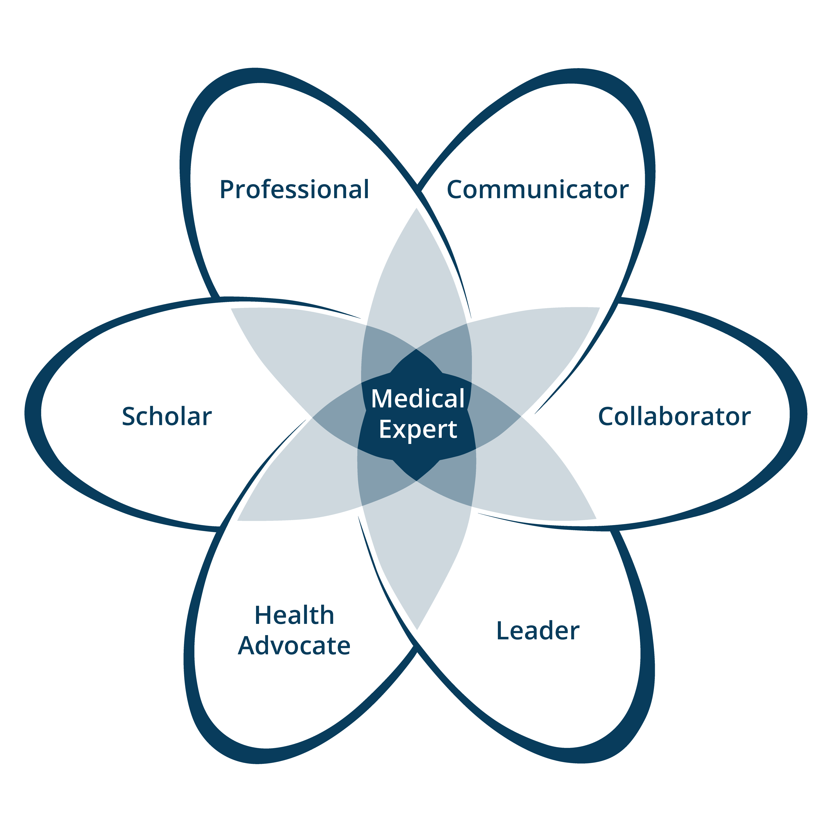 Medical Expert Medical Students Need More Training Opportunities To